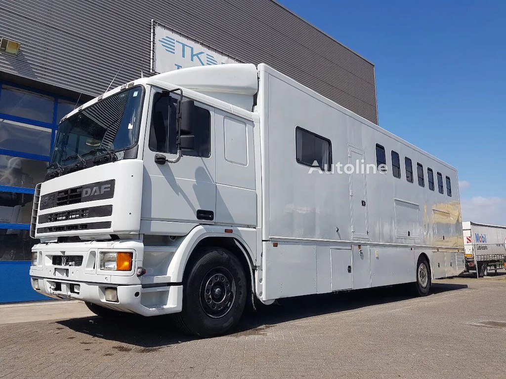 DAF 95.350 Paardenwagen met zitverblijf 7 paarden 7 horses kamion za prevoz konja