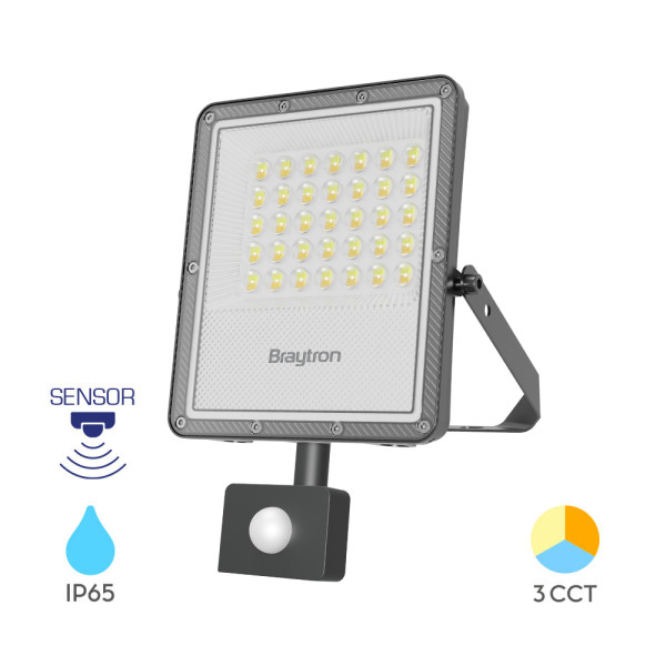 BRY-FLOOD-PF-30W-SIVI-3U1-SNS-IP65-LED REFLEKTOR