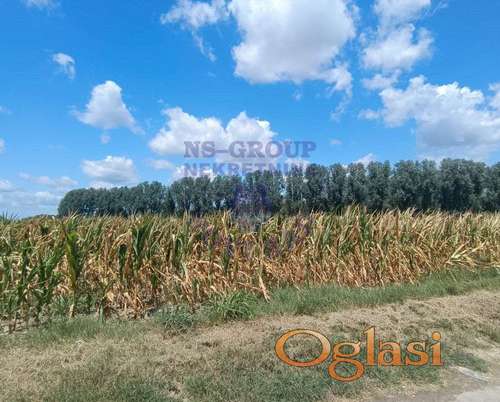 Plac, 8181m2, Kac
