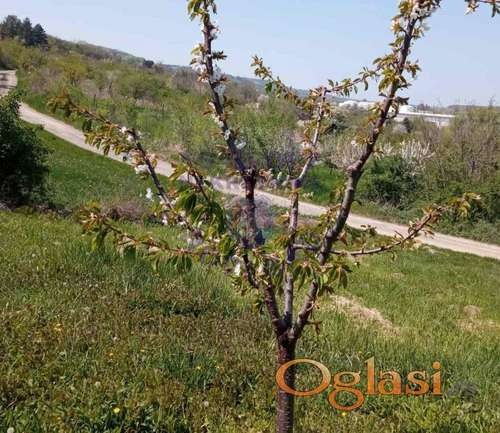 Odlican plac u Sremskim Karlovcima!