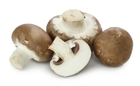 Organski Zlatni Šampinjon 300g