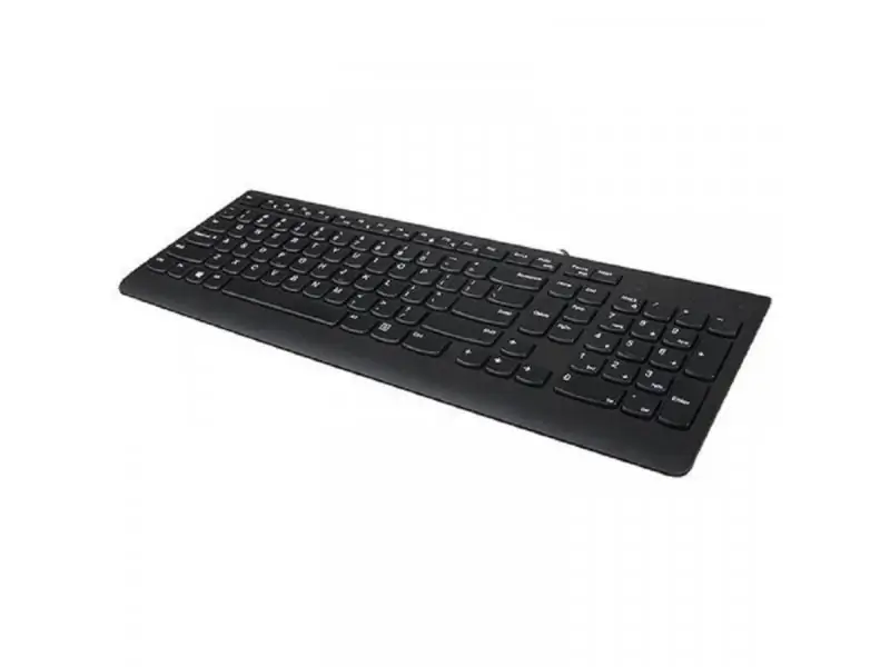LENOVO TASTATURA 300 USB US ENGLISH 103P BLACK (GX30M39655)
