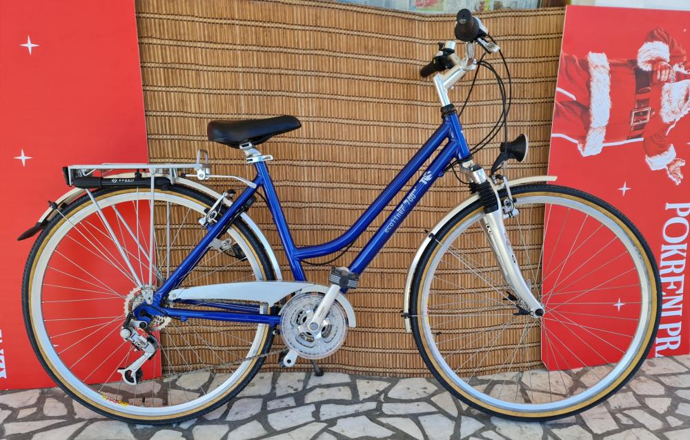 Sity bike 28 Ecoliner