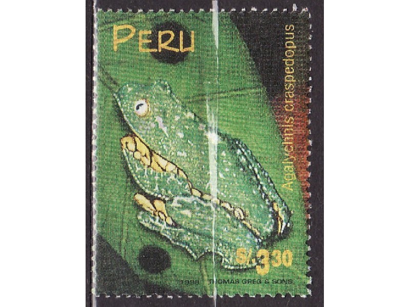 Peru - žaba