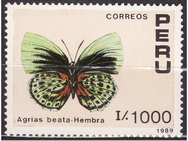 Peru - leptiri - 1988.