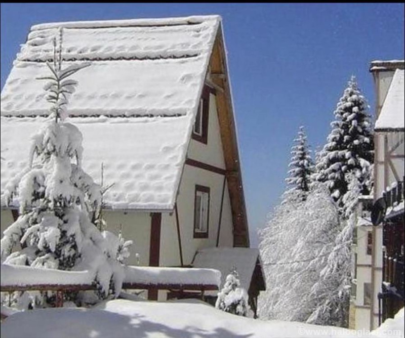 Prodajem apartman na Kopaoniku, mirno mesto, divan pogled, dobra investicija