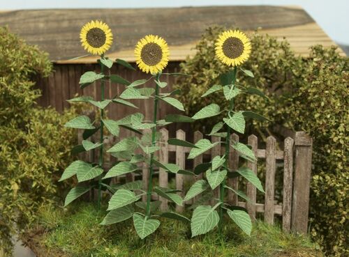 Model scene VG4-024 Sunflowers