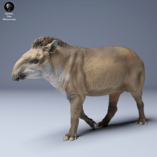 EMP3D 48130254 Tapir amerykański - Idący (2 sztuki)