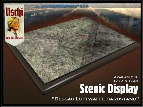USCHI VAN DER ROSTEN 3005 Scenic Backdrop "Dessau Hardstand Standart"