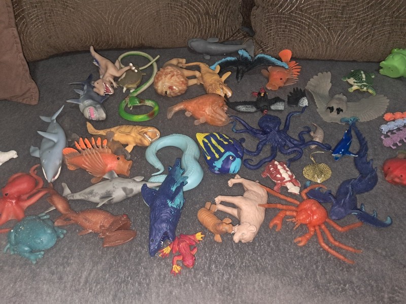 Epic animals životinje 25+