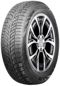 Autogreen Snow Chaser 2 AW08 205/55 R16 91H