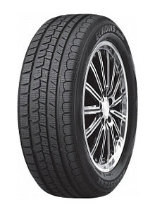 Roadstone Eurovis Alpine WH1 205/55 R16 91T 4PR