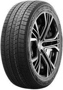 Double Star Winterking DW16 205/55 R17 95T XL