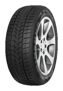 Minerva Frostrack UHP 205/50 R17 93V XL