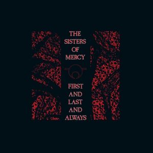The sisters of mercy