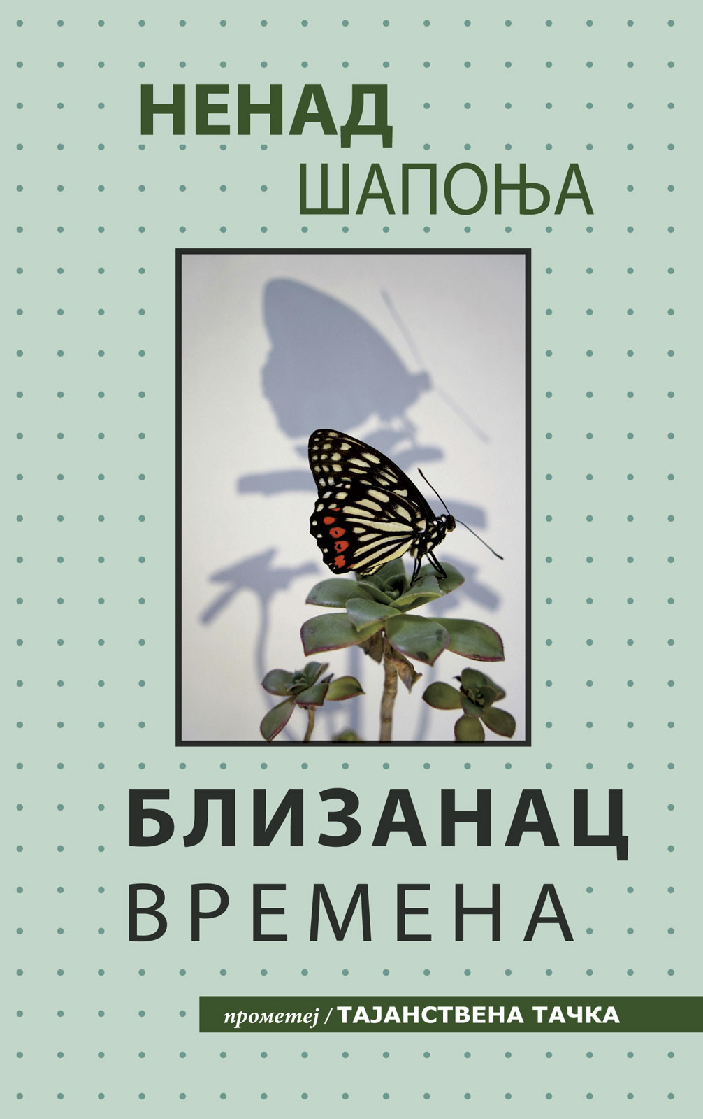 Близанац времена