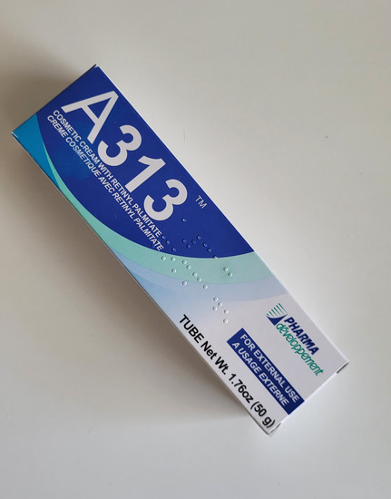 A 313
