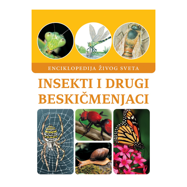 Insekti i drugi beskičmenjaci
