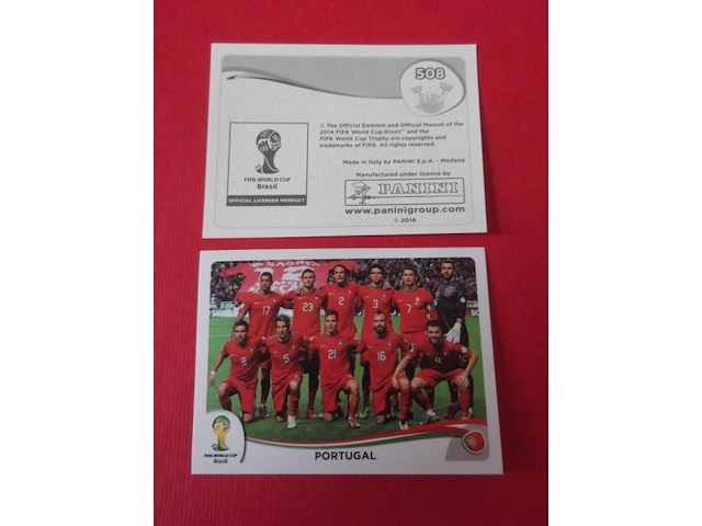 Panini BRASIL Brazil 2014 sličica broj 508