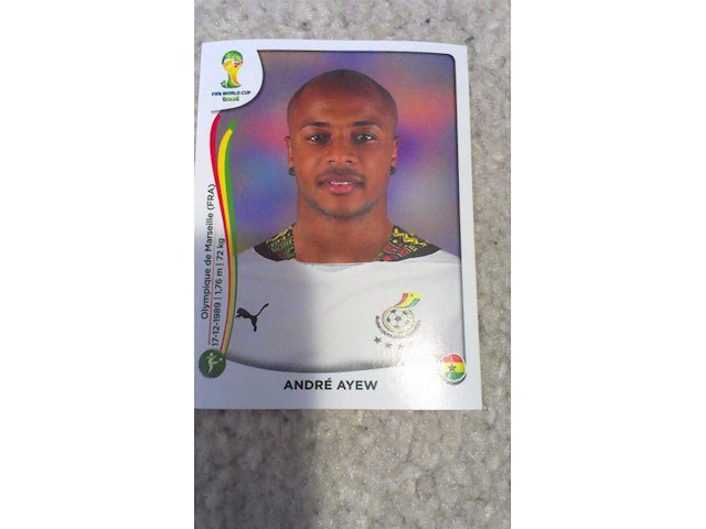 Panini FIFA 2014 Brazil sličica broj 542