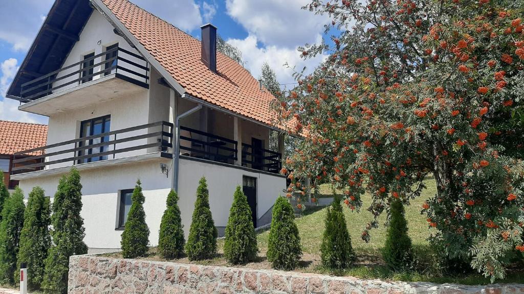 Zlatibor Tornik View