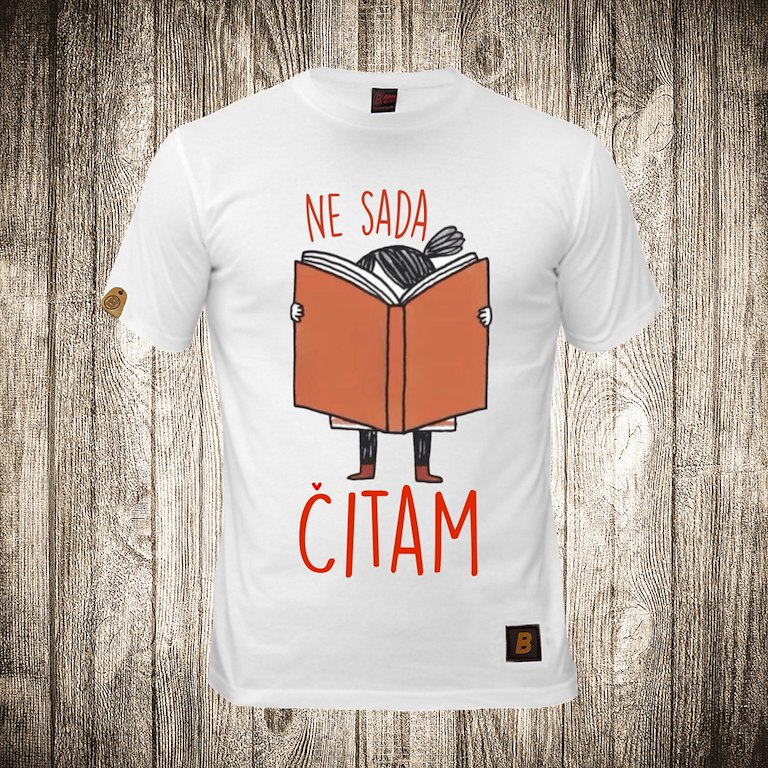 Ne sada – Čitam ( knjiga )