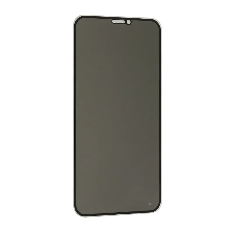 Folija za zastitu ekrana GLASS PRIVACY 2.5D full glue za Iphone XR/11 crna