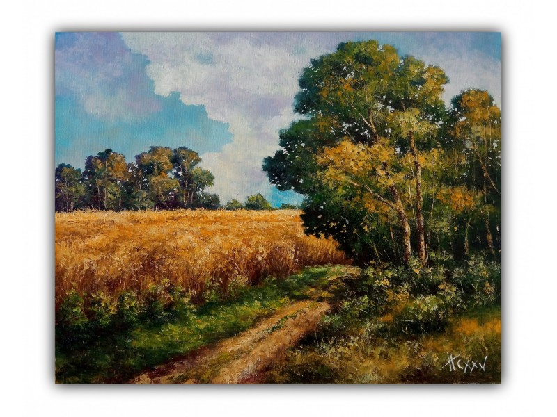 ulje na platnu 50x40cm