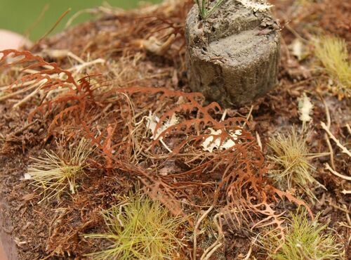 Model scene VG4-017 Dry fern