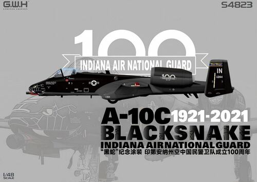 Lion Roar S4823 A-10C Blacksnake Indiana Air National Guard 1921-2021