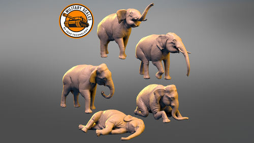 IDAP Technology PMI0696A Indian Elephants Set