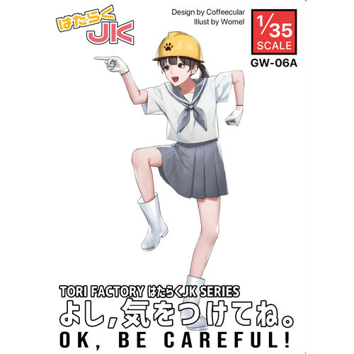 Tori Factory GW-06A Ok, Be Careful!