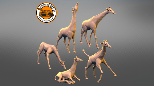 IDAP Technology PMI0698A Giraffes Set
