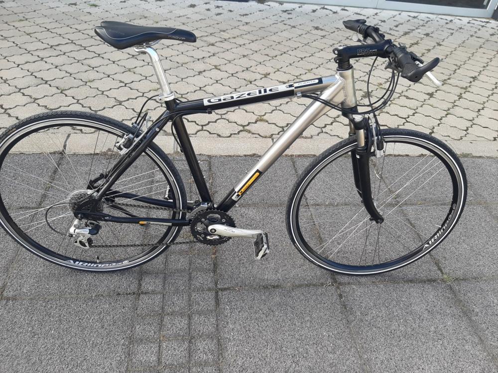 Gazelle Puerto
