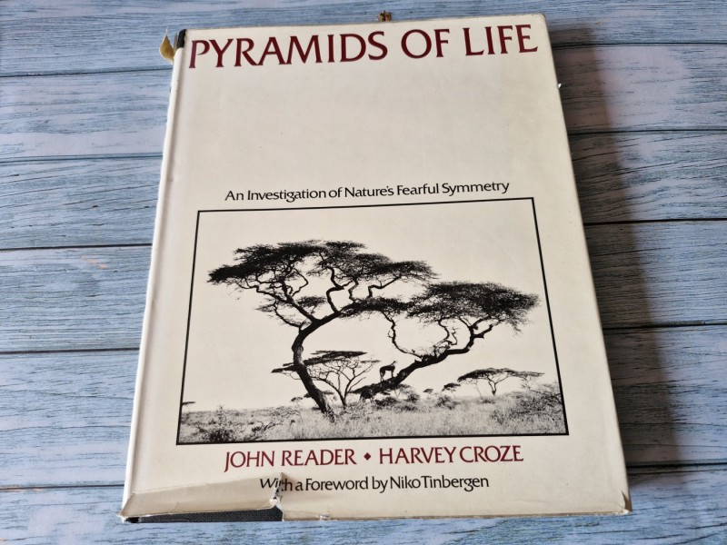 PYRAMIDS OF LIFE - JOHN READER