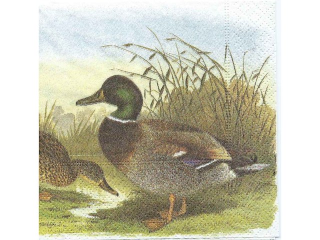 Mala Salveta MS6_199 Patke