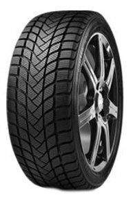Delinte WD6 205/55 R17 95H XL