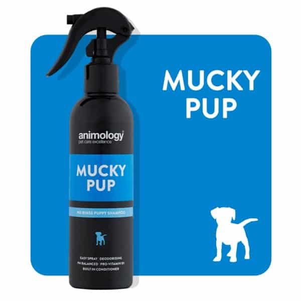 ANIMOLOGY MUCKY PUP SPREJ ZA SUVO PRANJE 250ML
ANIMOLOGY MUCKY PUP SPREJ ZA SUVO PRANJE 250ML