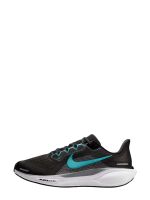 Air zoom pegasus 41
