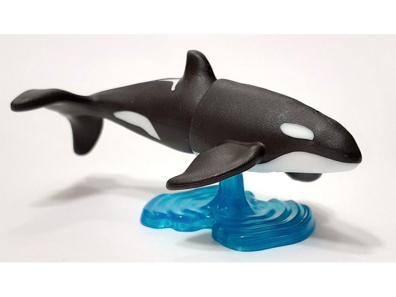 Kinder VU348 orca
