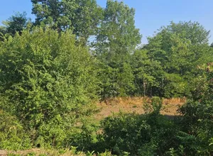 Prodaja Plac - Boljevac