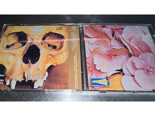 Still Life - Still Life