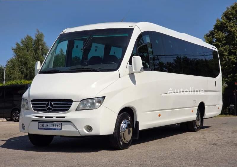 Mercedes-Benz Sunrider 818D putnički minibus