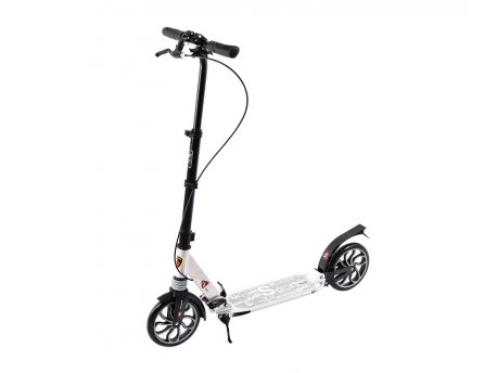 CAPRIOLO 002D1A TROTINET-ROMOBIL SA KOCNICOM