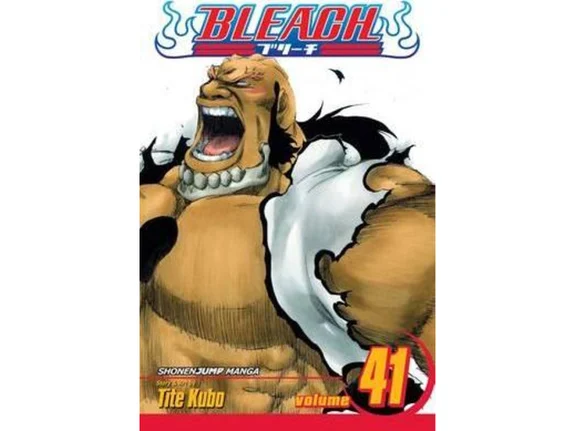 Bleach: Vol. 41