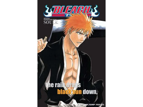 Bleach Official Character Book Volume 1: Souls