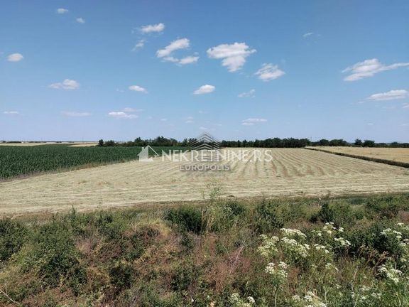 Krnješevci, Stara Pazova ID#7769