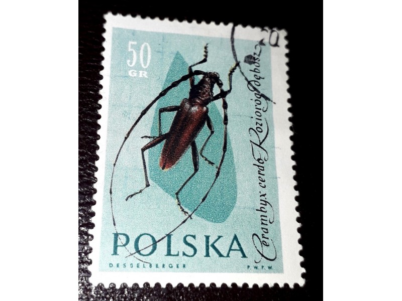 Polska - fauna
