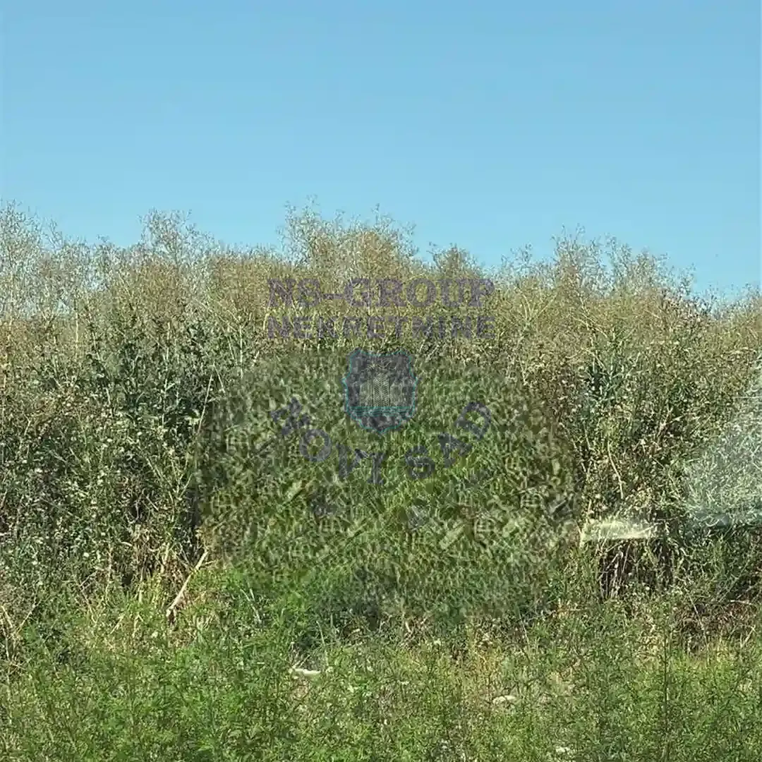 Centar, Bački Jarak