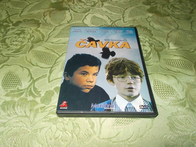 Cavka - Misa Radivojevic - DVD